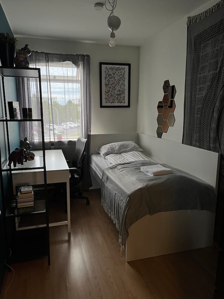 Central 4br Flat With A View - Reykjavík