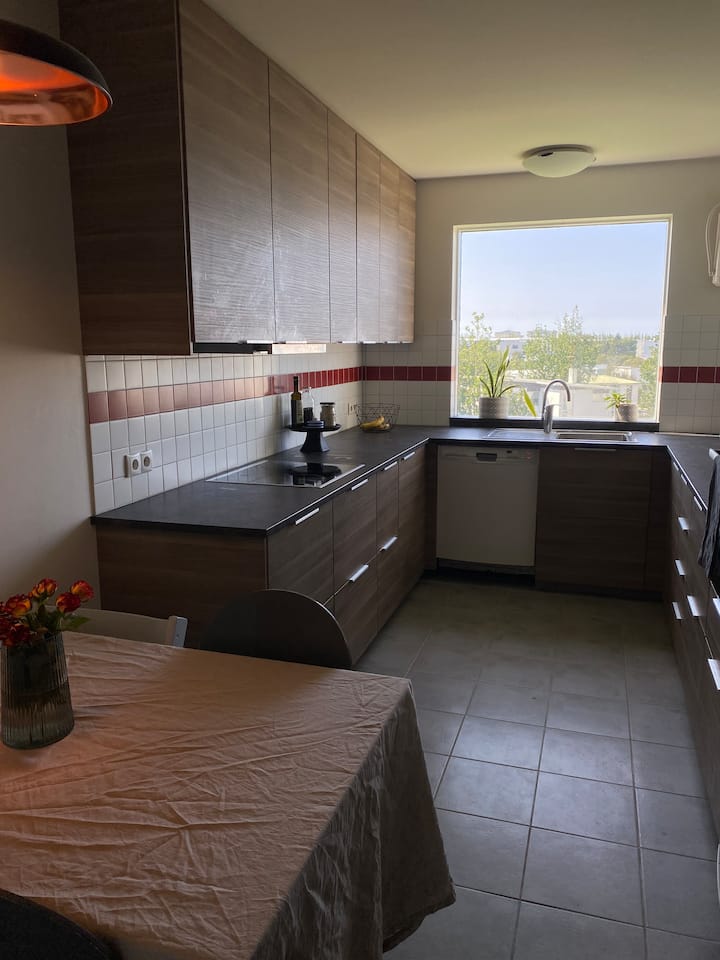 Central 4br Flat With A View - Reykjavik