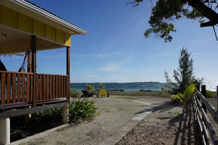Coral Gardens - Honduras