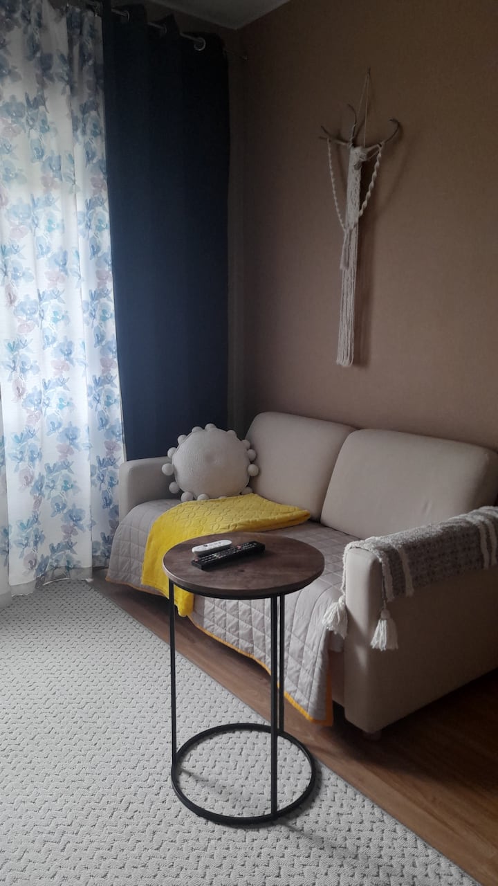 Viihtyisä Kaksio Lähellä Keskustaa. - Jyväskylä