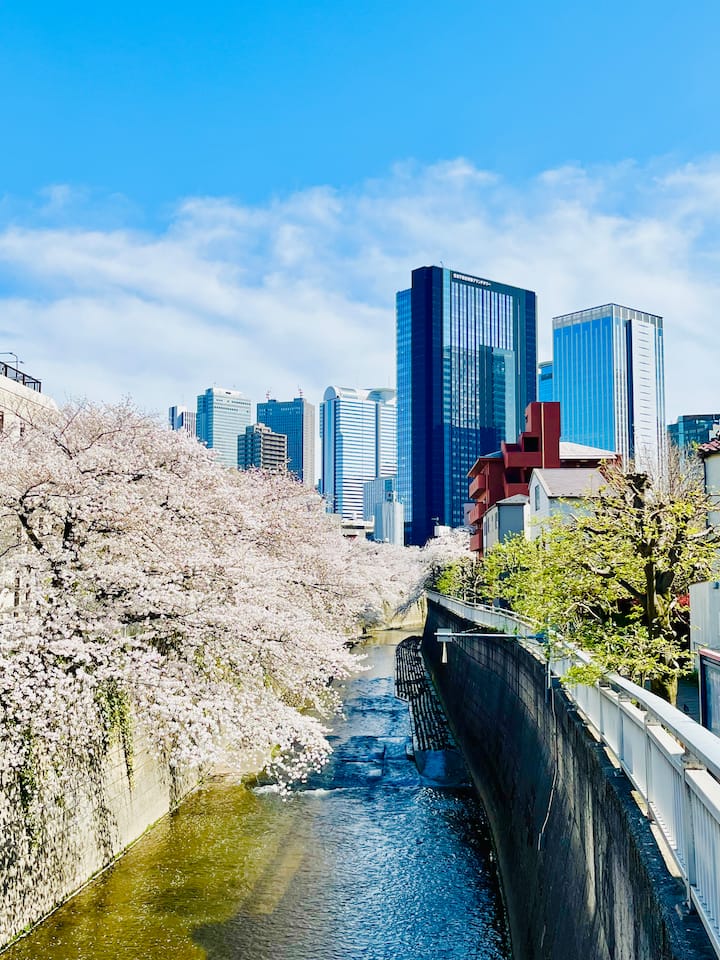 《花苑》2分钟即达新宿／新房8⃣️折【新宿稀有一线河景樱花高端独栋别墅】宽敞舒适／新宿&涩谷都心商圈 - Tokyo