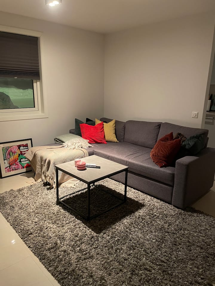 Cozy And Central Apartment - Tromsø