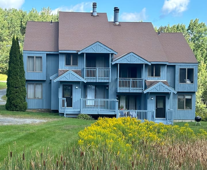 Rare Condo 5 Min To Mt. Snow, 2br, 2 1/2 Bath - Wilmington, VT