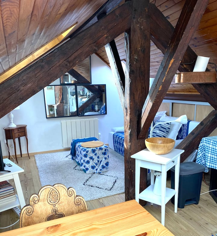 Cozy Attic In The Old Town Of Ferney Voltaire - Ferney-Voltaire