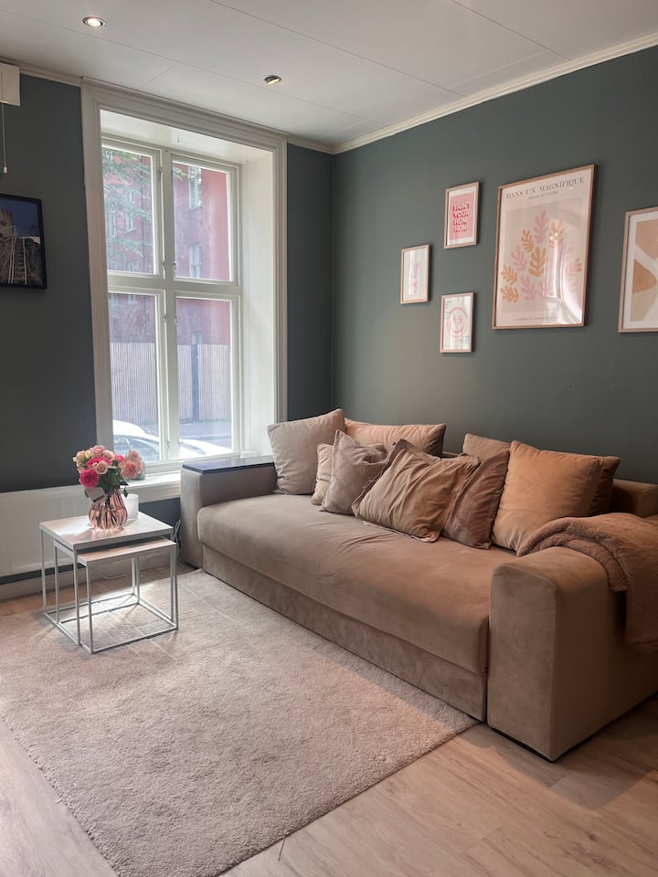 Leilighet På Beste Grunerløkka - Oslo