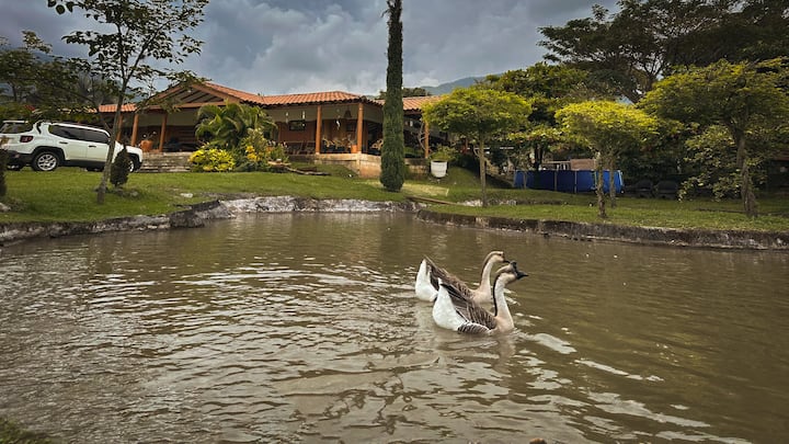 Finca Aurora - Palmira