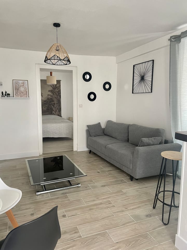 Appartement Cosy Loire à Vélo Centre à Pied - Blois