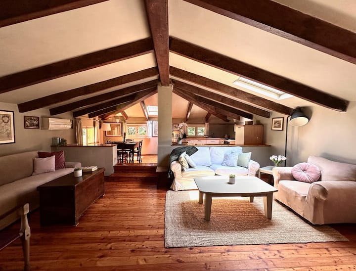 Loft , With Large Terrace And Free Car Park - Padua