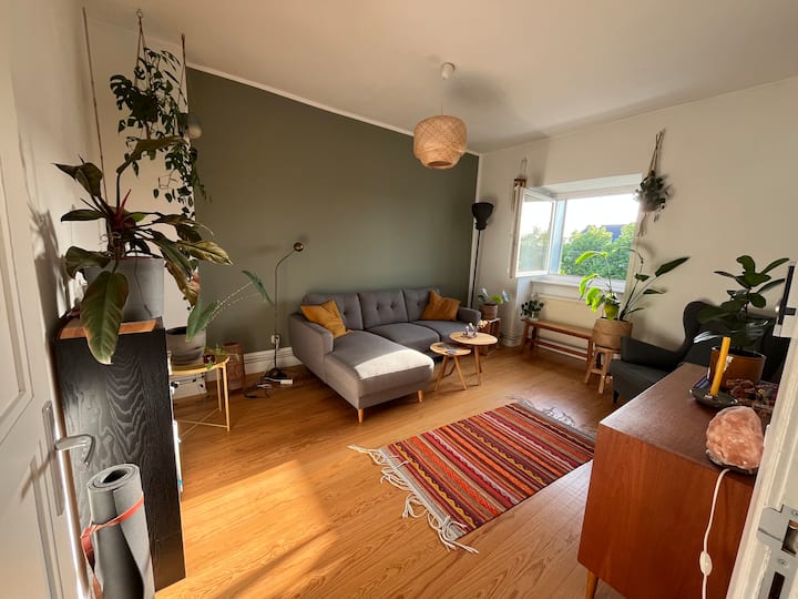 Helle Altbauwohnung In Ottensen - Hamburg