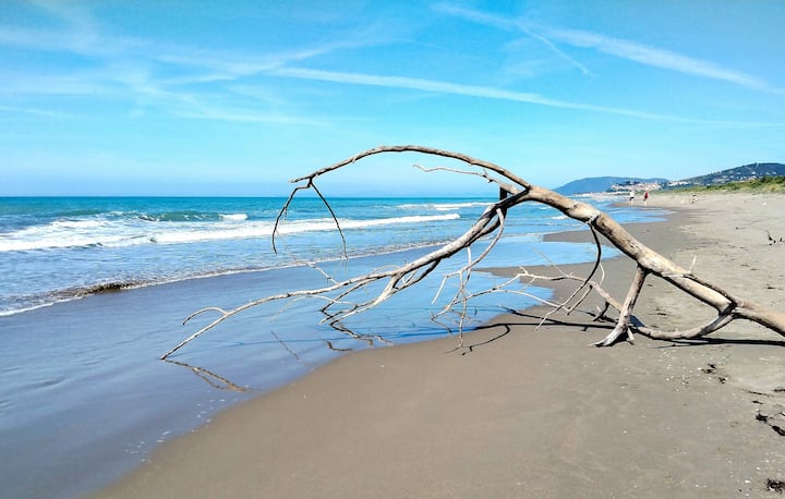 Appartamento 50m Dal Mare - Castiglione della Pescaia