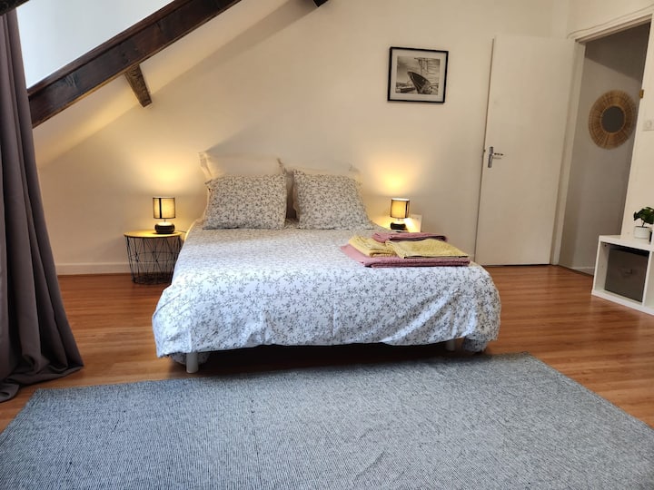 Appartement De Charme Avec Vue Cathédrale - Bourges