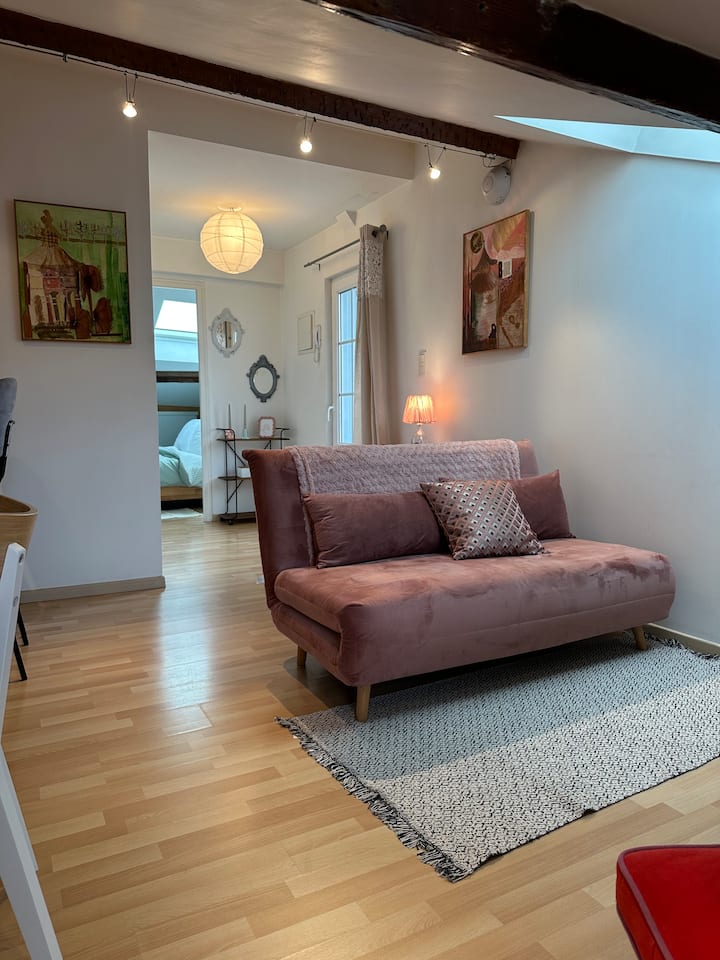 Charmant Appartement Au Cœur De La Ville - Saint-Gaudens