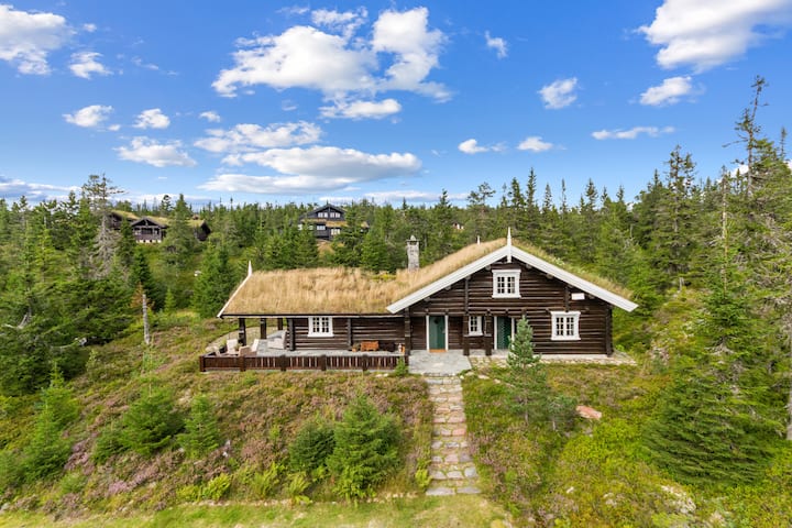 Hytte I Idylliske Birkenåsen. - Norway