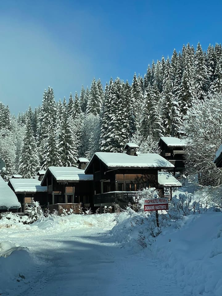 Chalet 151nabor - Morzine