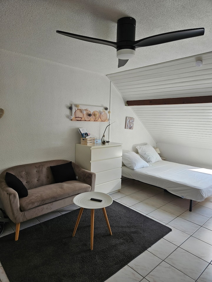 Studio Cosy Idéalement Situé Parking+cellier Privé - Luz-Saint-Sauveur