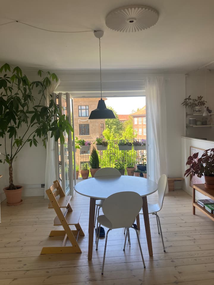 Centrally Located 100 M2 Apartment - Copenaghen