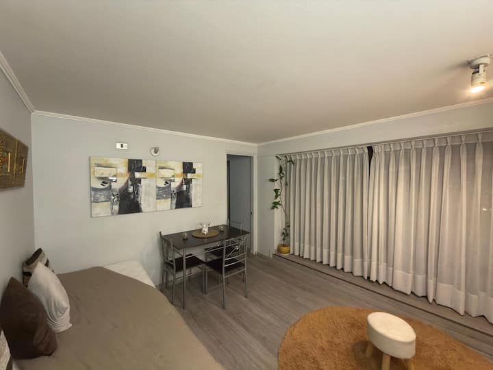 Alojamiento En Providencia - Providencia