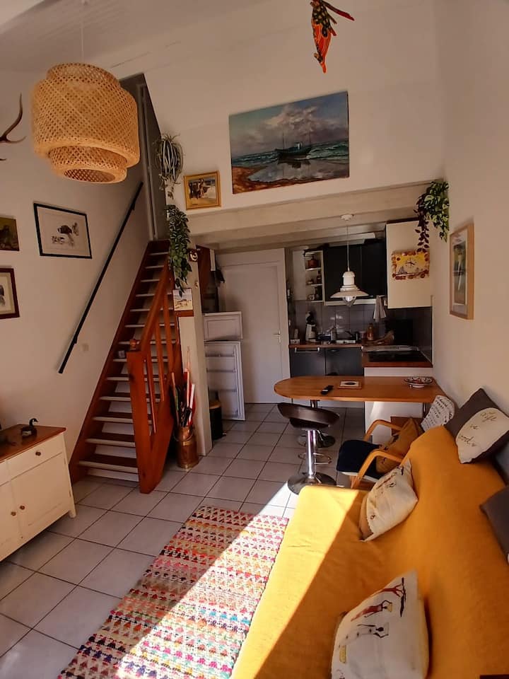 Logement   Saint-julien-en-born - Contis-Plage