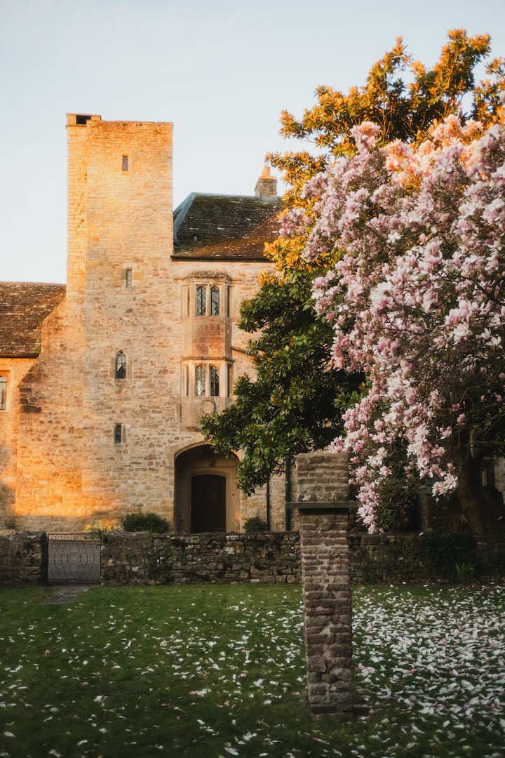 The Potting Shed - Chepstow