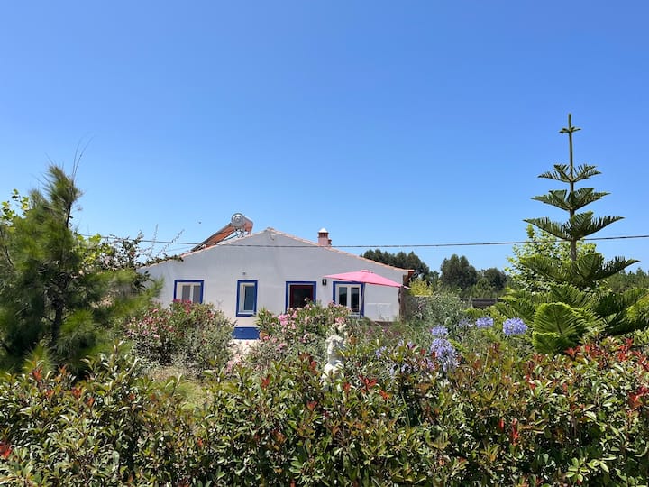 Cosy House With Sun, Sea, Nature! - Odeceixe