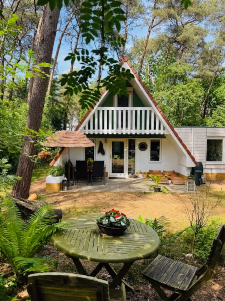 Spacious & Happy Forest Bungalow - Ommen