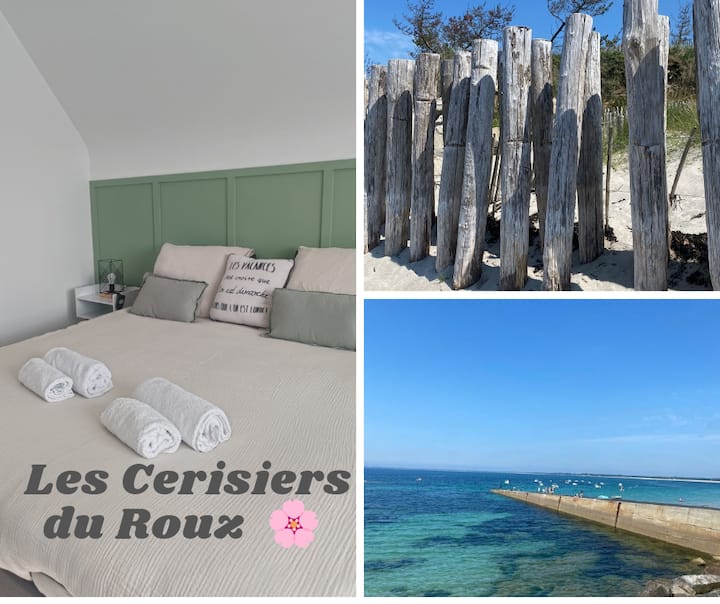 Maison Proche Des Plages- Jardin, Vélos, Pmr - Beg Meil