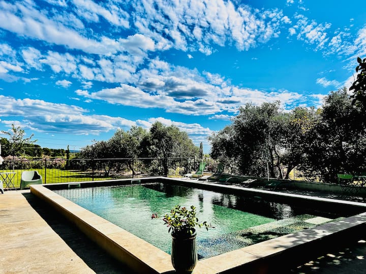 Un éTé En Provence - Carpentras