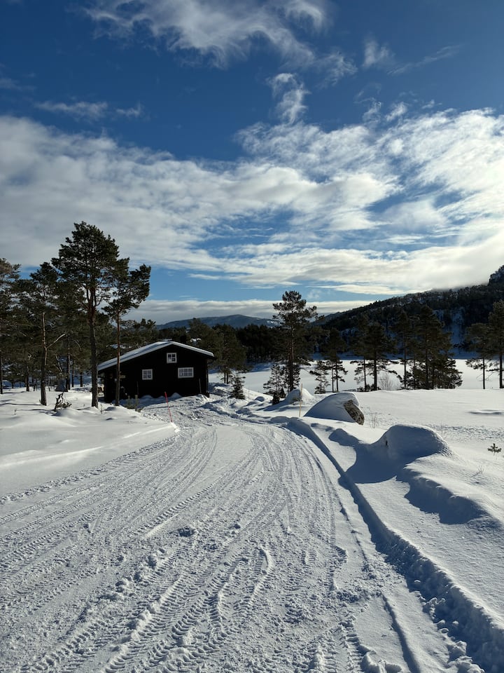 Liten Og Koselig Hytte Mellom Fjell Og Innsjø - Norway
