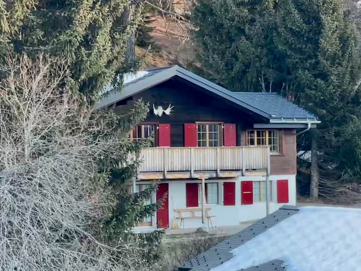 Kinny, Een Heerlijk Chalet In De Alpen - Bellwald