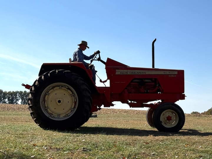 Little Lamb - Long Branch State Park, Macon