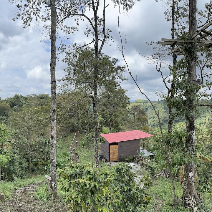 Cabaña 2 - Filandia