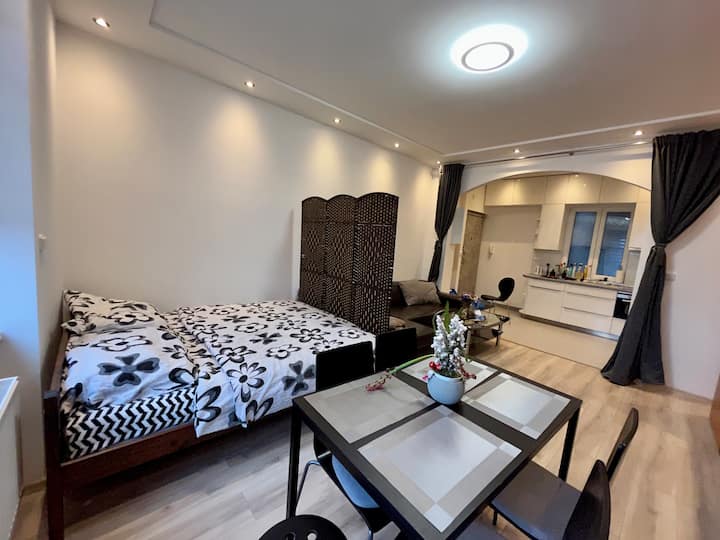 Modern Flat In Central Prague (No Service Fee) - Prága