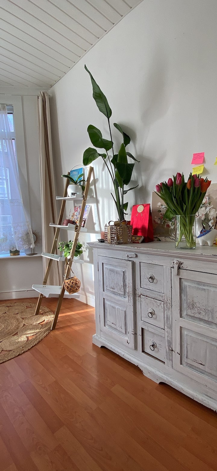 Spacious Art Room With Bay Window - Rotterdam