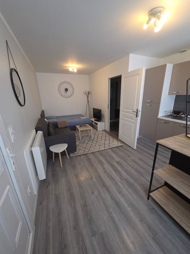 Appartement (Studio) Oyonnax - Oyonnax