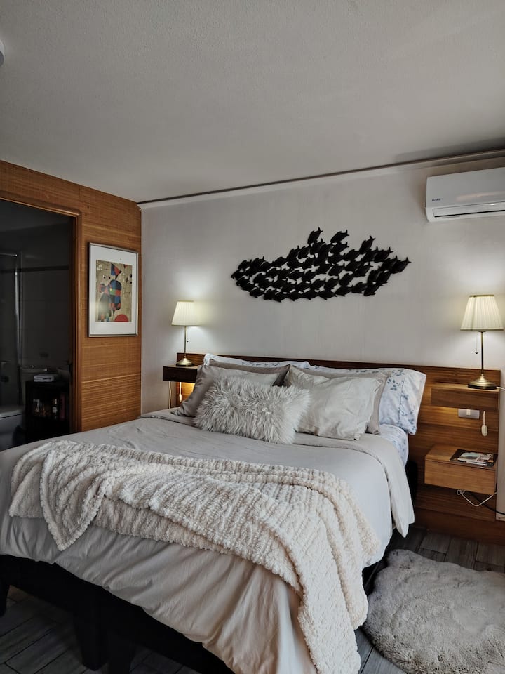 Comfort, Style, Ideal Location. Transfer/parking$ - Providencia