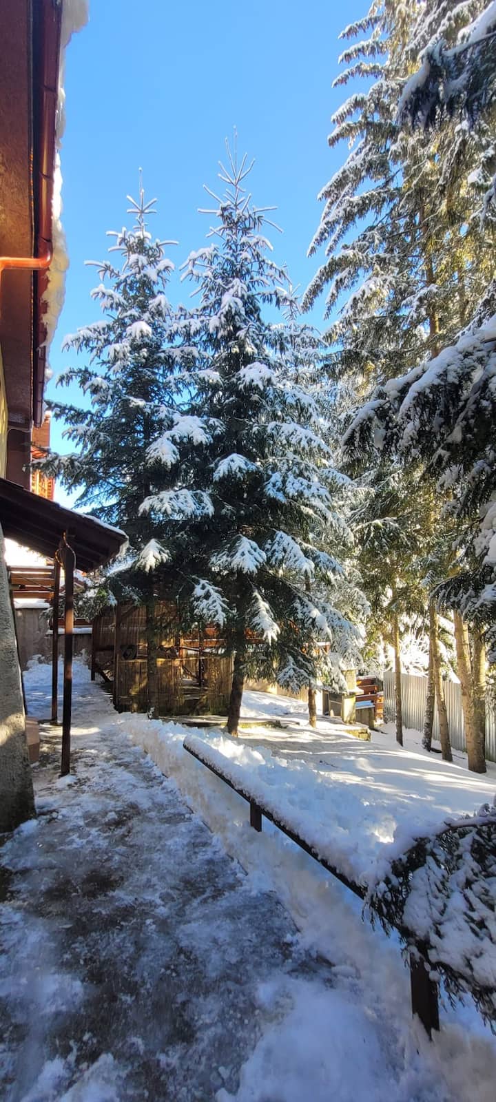 The Place To Be In Predeal (Entire House) - Predeal