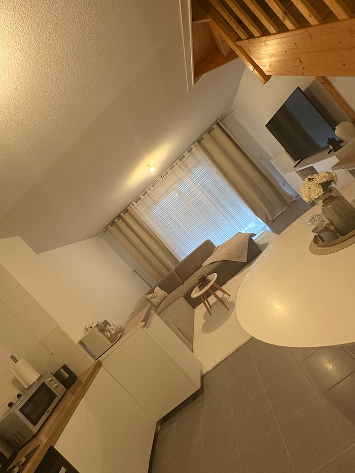 Petite Maison, Tout Près Airbus. - Cugnaux