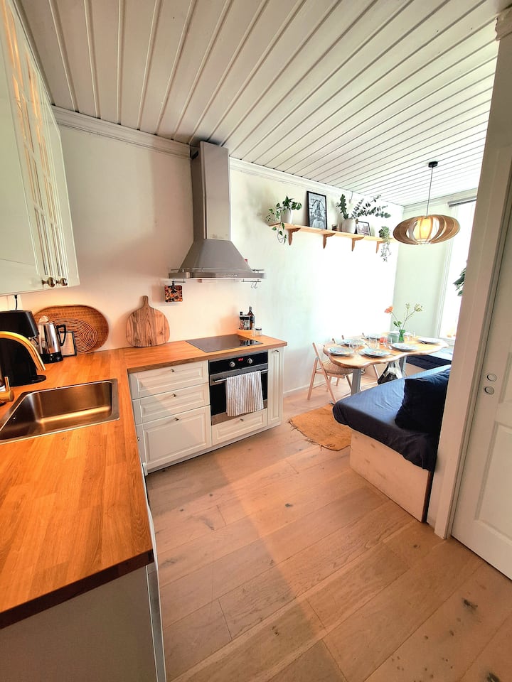 Central & Social Apartment With 3 Bedrooms - Oslo