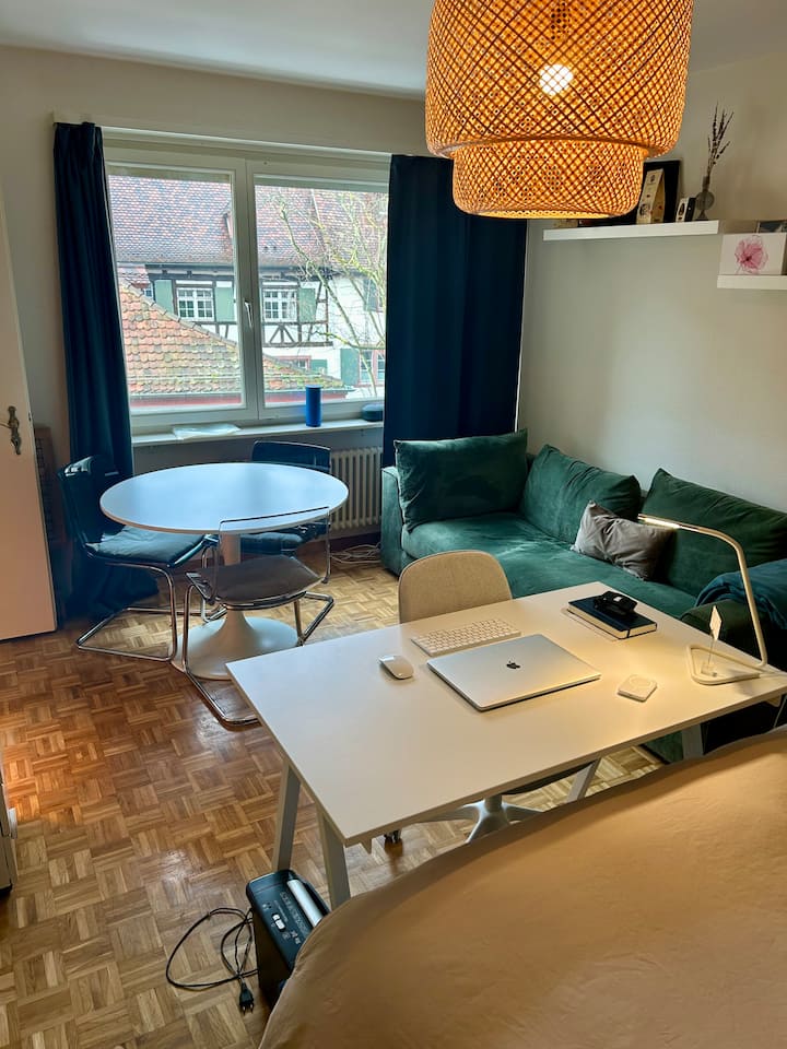 Your Home In The Heart Of Basel - Bâle