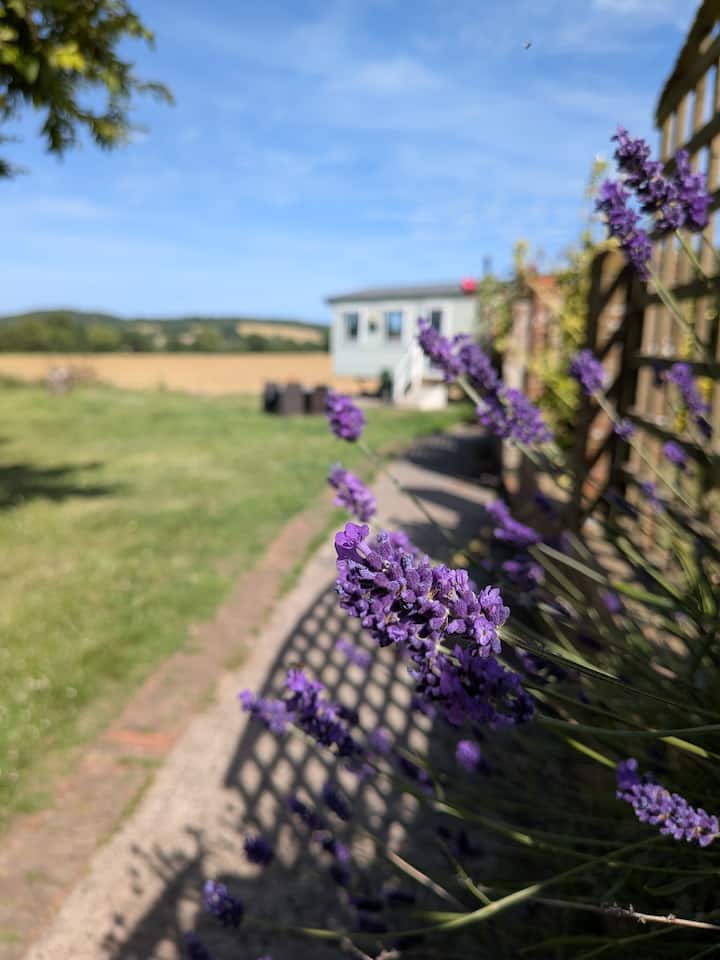 Duckaller Farm - Static Home With Beautiful Views! - Dawlish Warren