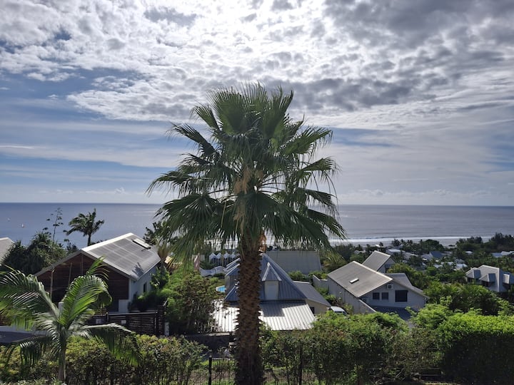 Très Beau Duplex Avec Vue Sur Océan 180° - Saint-Gilles les Bains