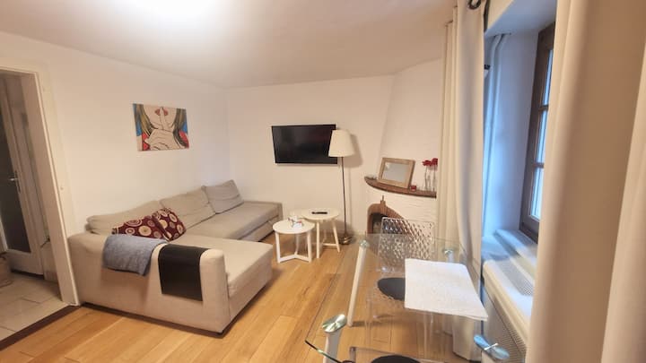 Petit Nid En Vieille-ville - Geneva