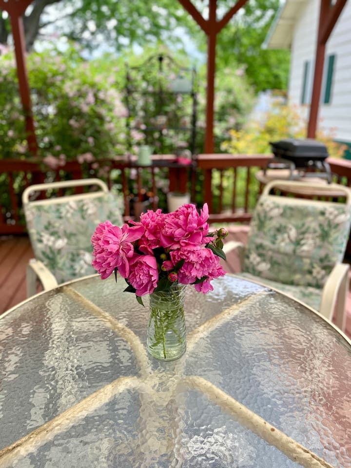 Central Madison Apartment - Carousel, Madison