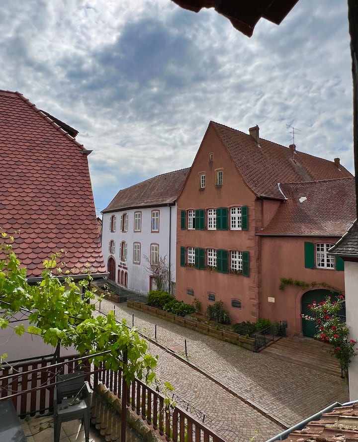 Gîte Au 2 Vignes - Grande Maison Avec Terrasse - Orbey