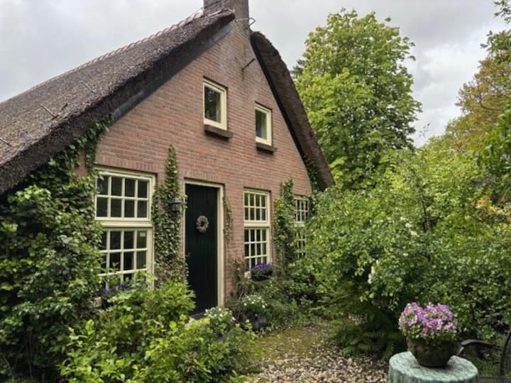 Charmante B&b In Drentse Natuur - Meppel