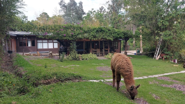 Casa De Piedra - Napo