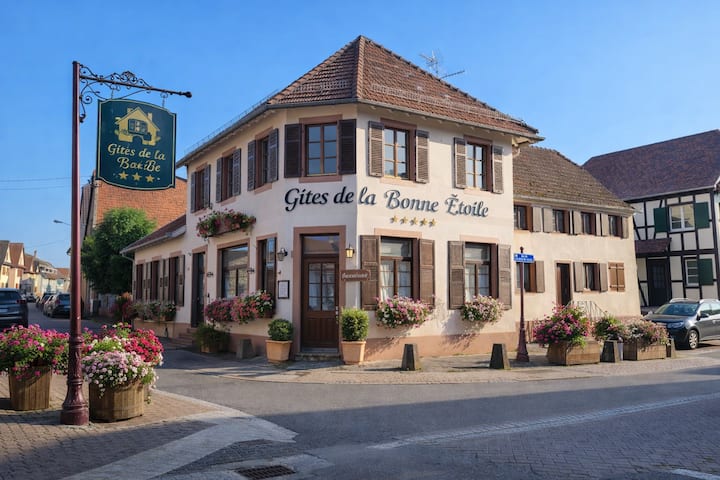 Gite Jardin D'hiver 2 - Lipsheim