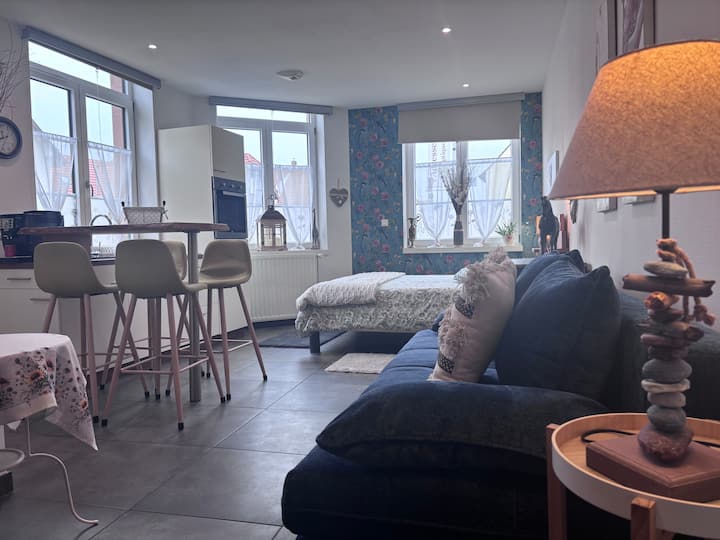 Gîte Jardin D’hiver 2 – Proche Strasbourg éLégant - Geispolsheim