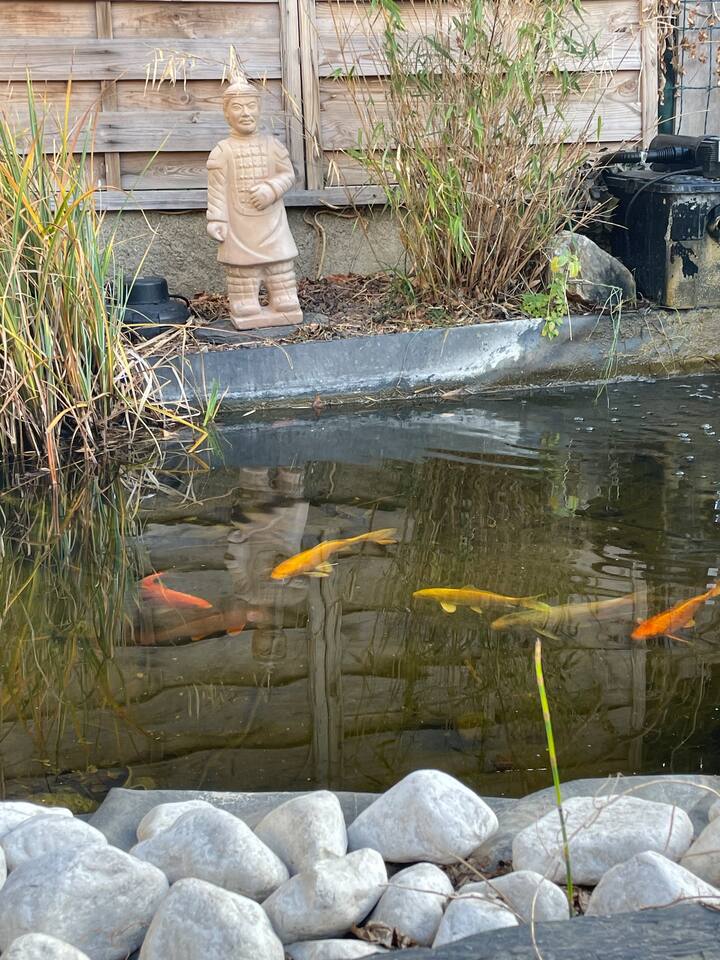 Maison Tout Confort Au Calme Avec Jardin - Torreilles