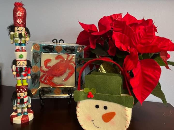 Accessible Nautical Cottage - Seattle